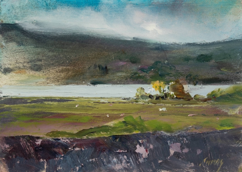 Kim Jarvis | Artist | Morningside Gallery Edinburgh