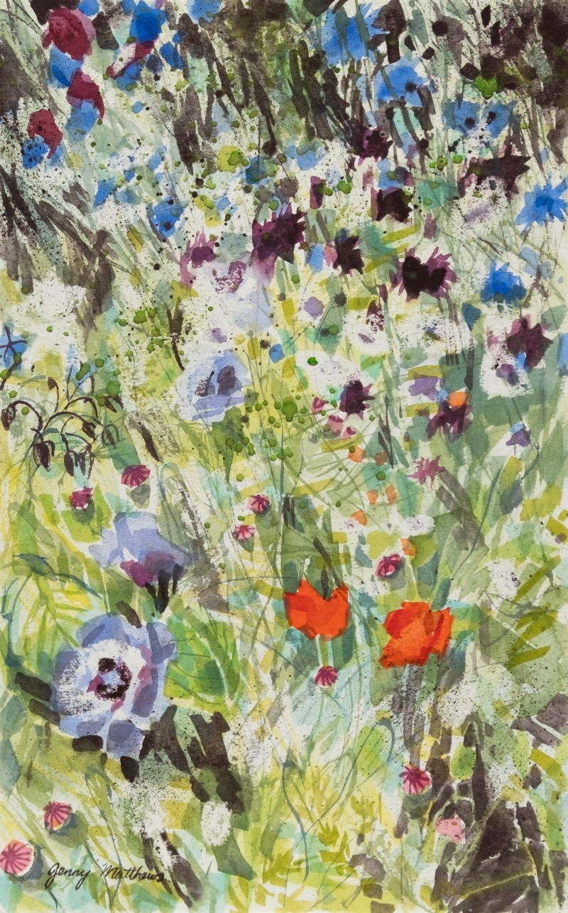 Jenny Matthews RSW - Artist | Morningside Gallery Edinburgh
