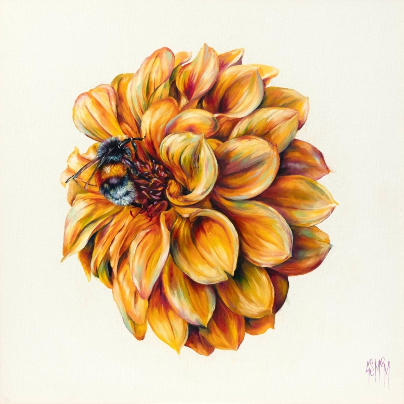 Georgina McMaster - Artist | Morningside Gallery Edinburgh