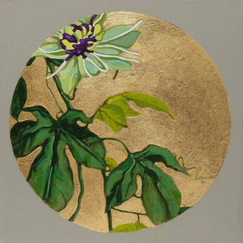 Hedi Munro - Scottish Artist | Morningside Gallery Edinburgh