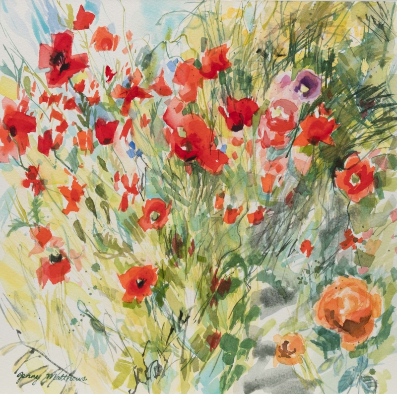 Jenny Matthews RSW - Artist | Morningside Gallery Edinburgh