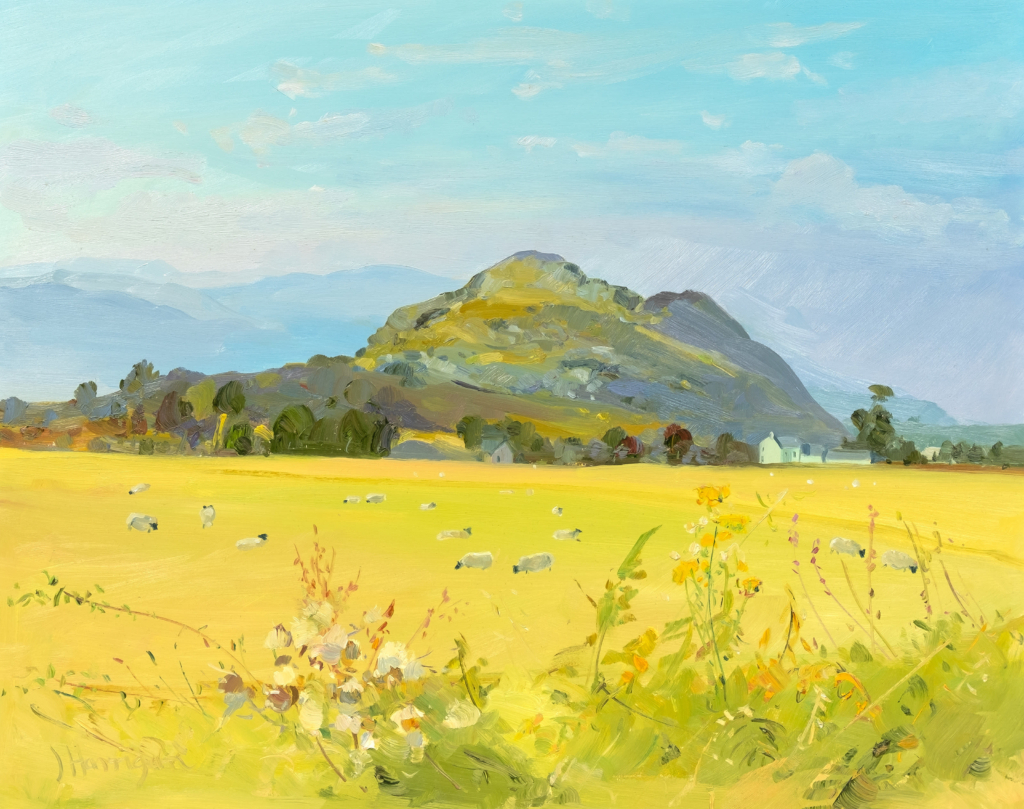 James Harrigan - Scottish Artist | Morningside Gallery Edinburgh