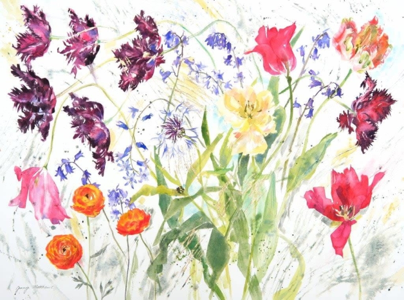 Jenny Matthews RSW - Artist | Morningside Gallery Edinburgh