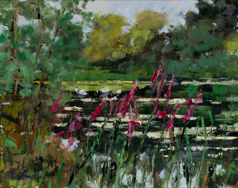Nancy Turnbull - Scottish Artist | Morningside Gallery Edinburgh