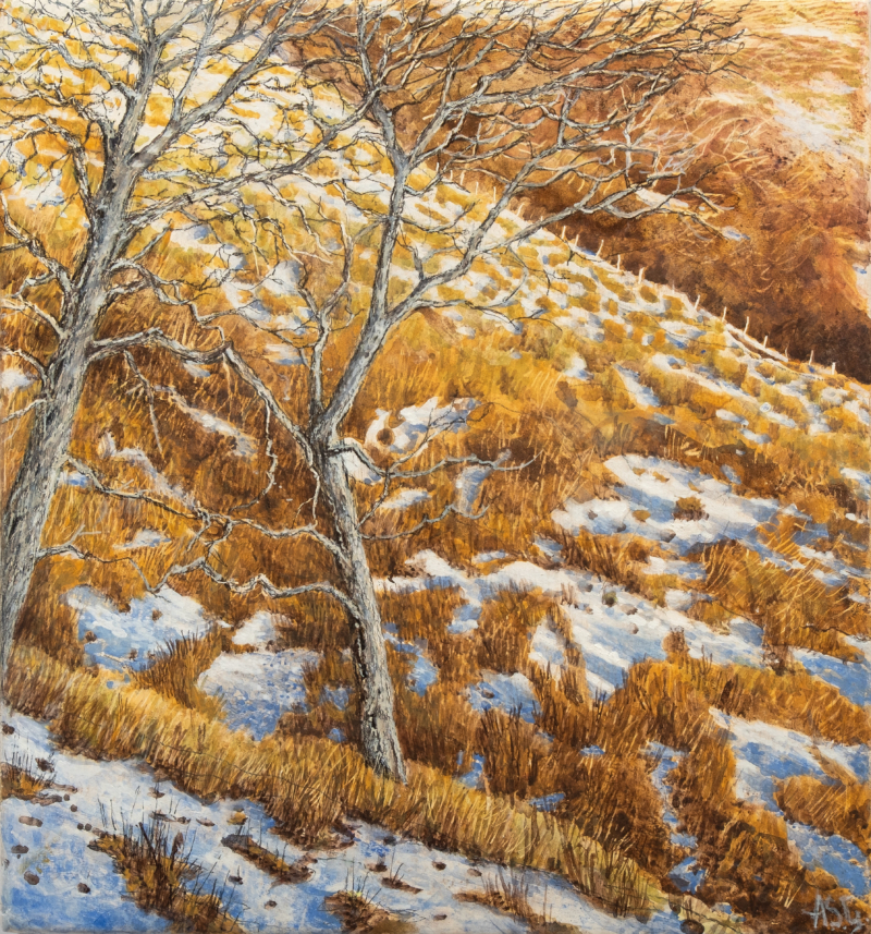 Andrew Scott George | Artist | Morningside Gallery Edinburgh