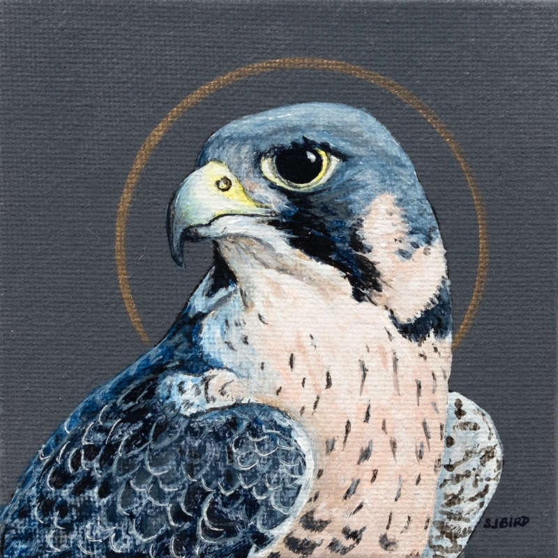 Stanley Bird - Scottish Artist | Morningside Gallery Edinburgh