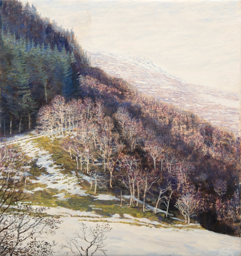 Andrew Scott George | Artist | Morningside Gallery Edinburgh