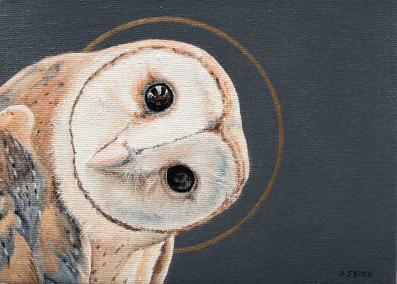 Stanley Bird - Scottish Artist | Morningside Gallery Edinburgh