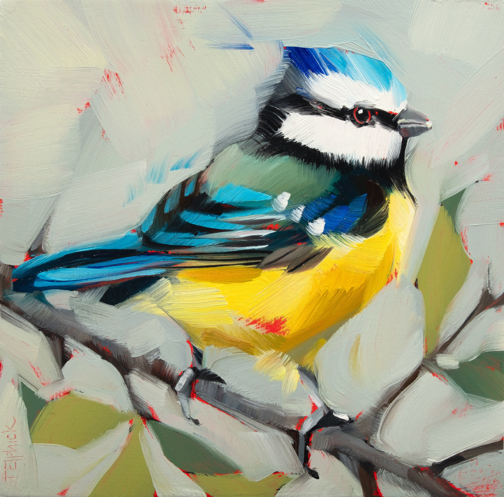 Little Blue Tit | Tracey Elphick | Morningside Gallery Edinburgh