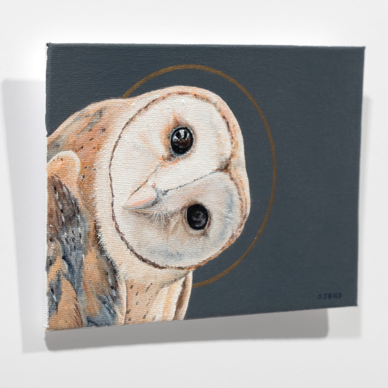 Stanley Bird - Scottish Artist | Morningside Gallery Edinburgh