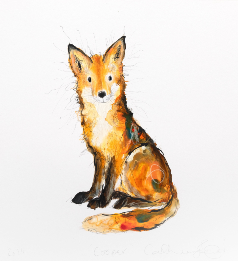 Catherine Rayner | Artist | Morningside Gallery Edinburgh