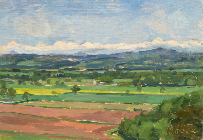 Contemporary Art for Sale | Morningside Gallery Edinburgh