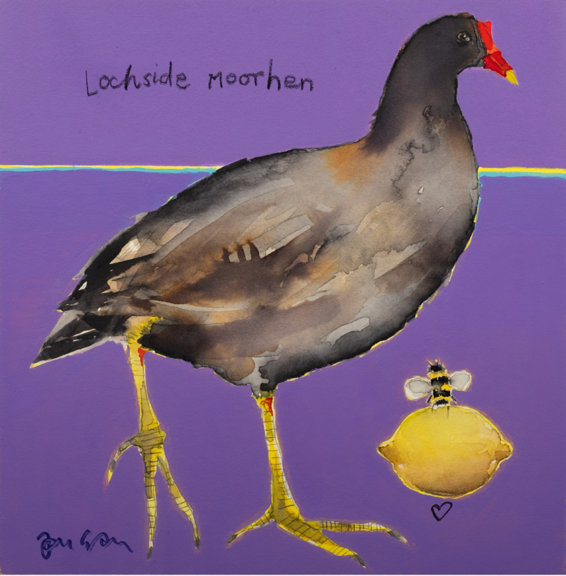 Janice Gray RSW | Artist | Morningside Gallery Edinburgh