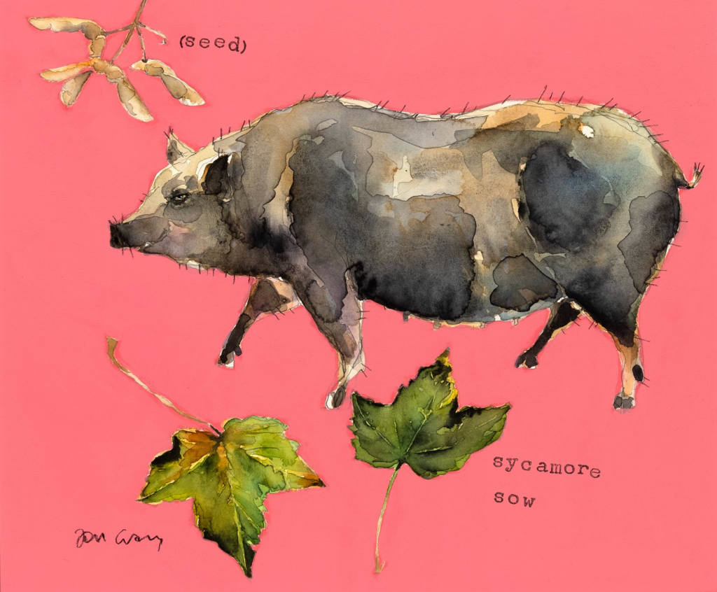 Contemporary Art for Sale | Morningside Gallery Edinburgh