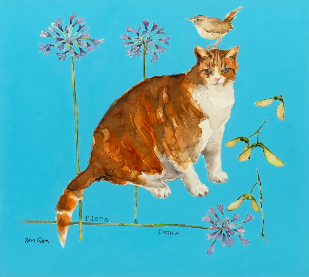 Contemporary Art for Sale | Morningside Gallery Edinburgh
