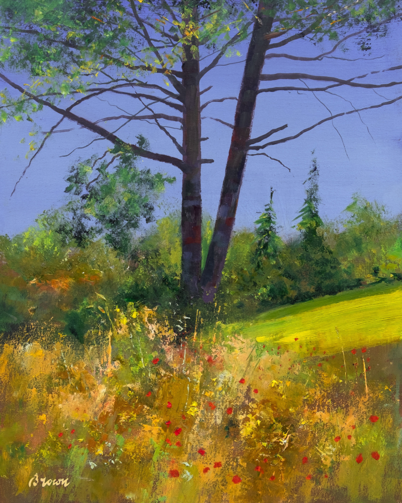 Davy Brown - Scottish Artist | Morningside Gallery Edinburgh