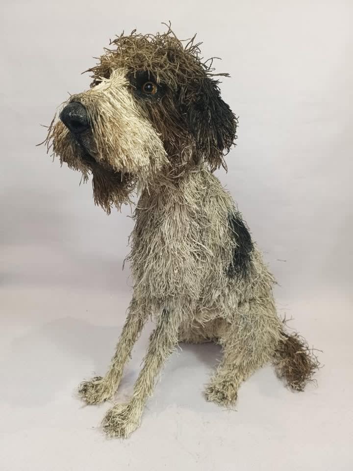 German Wild Haired Pointer | Gemma Rees | Morningside Gallery Edinburgh