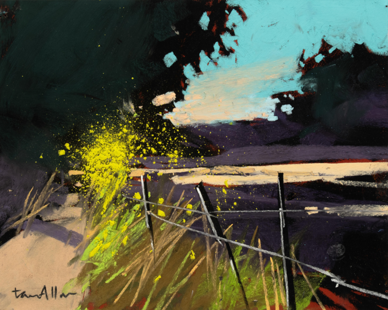 Tony Allain - Artist | Morningside Gallery Edinburgh