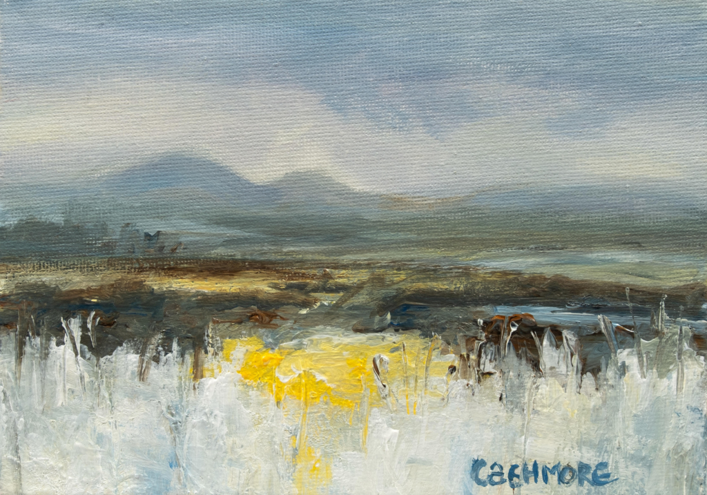 Hazel Cashmore | Artist | Morningside Gallery Edinburgh