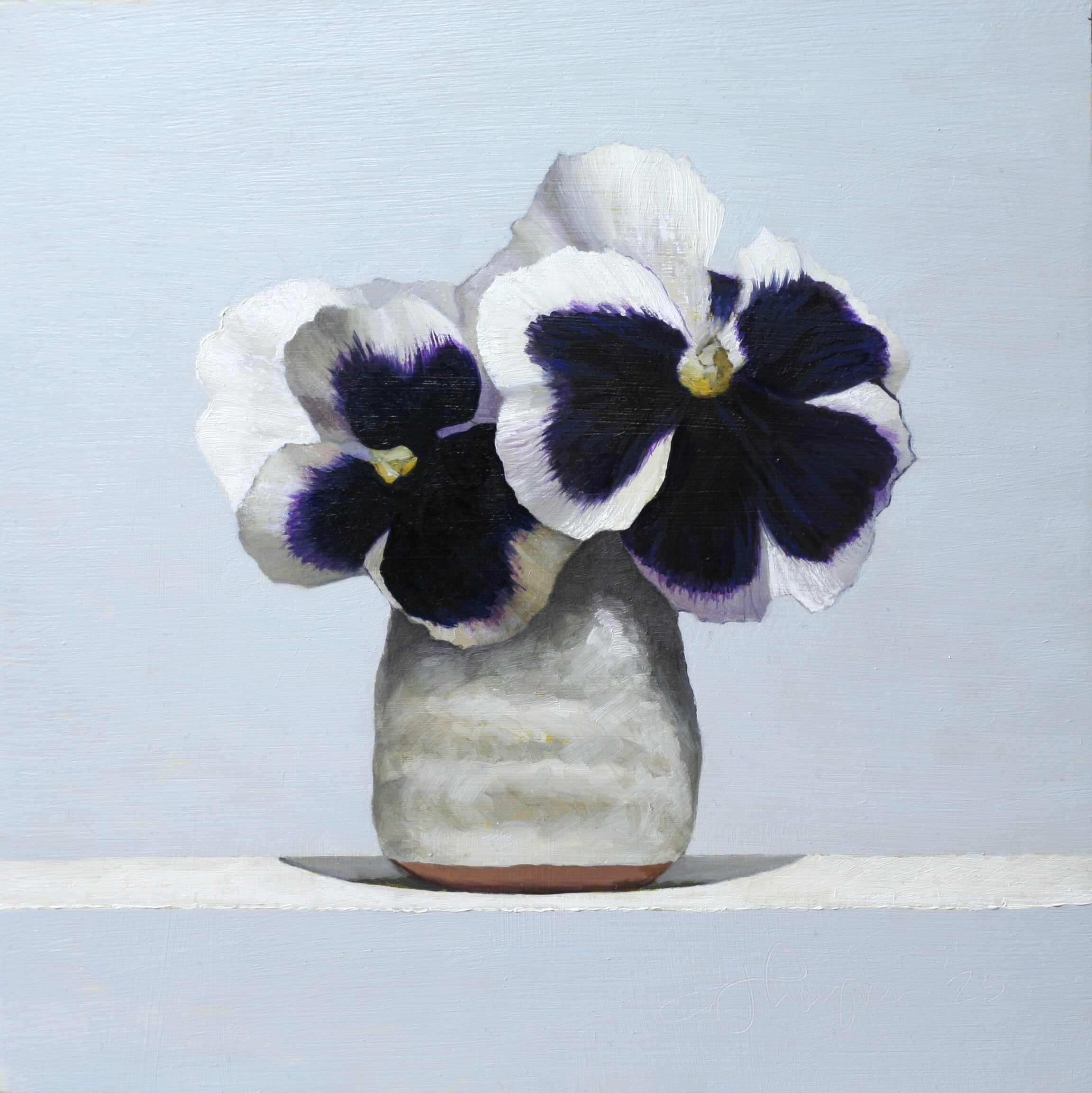 Pansies | Andrew Thompson | Morningside Gallery Edinburgh