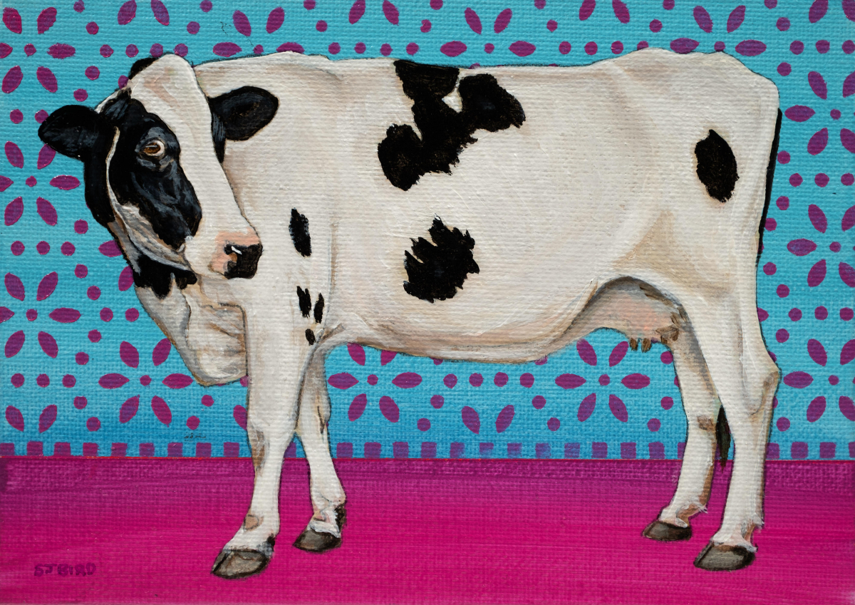 Stanley Bird - Scottish Artist | Morningside Gallery Edinburgh